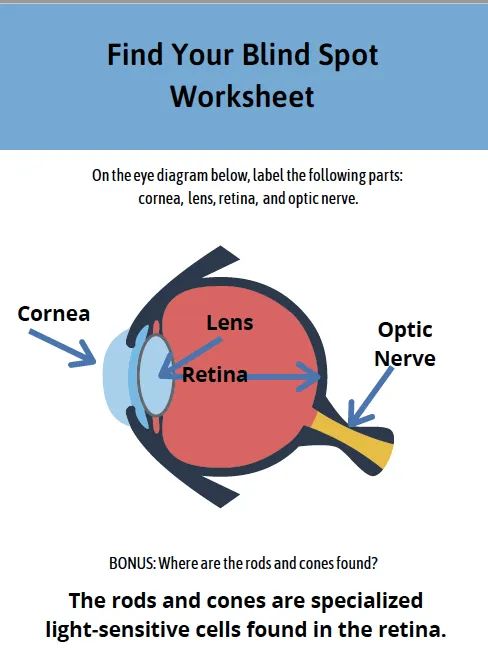 Video and Worksheets