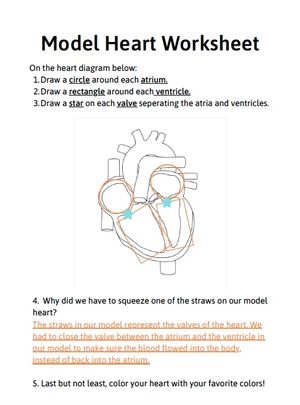 Video and Worksheets