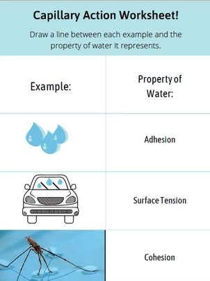 Video and Worksheets