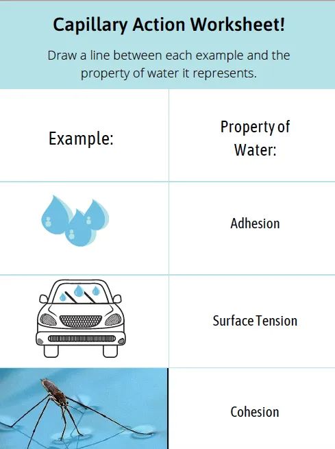 Video and Worksheets