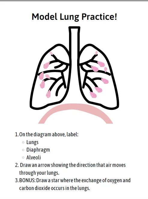 Video and Worksheets