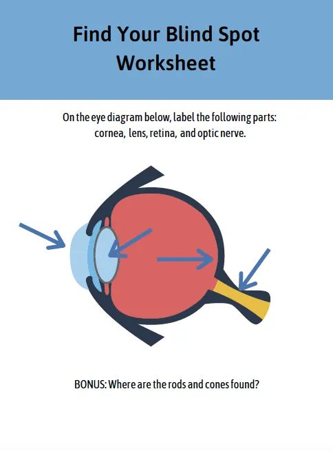 Video and Worksheets